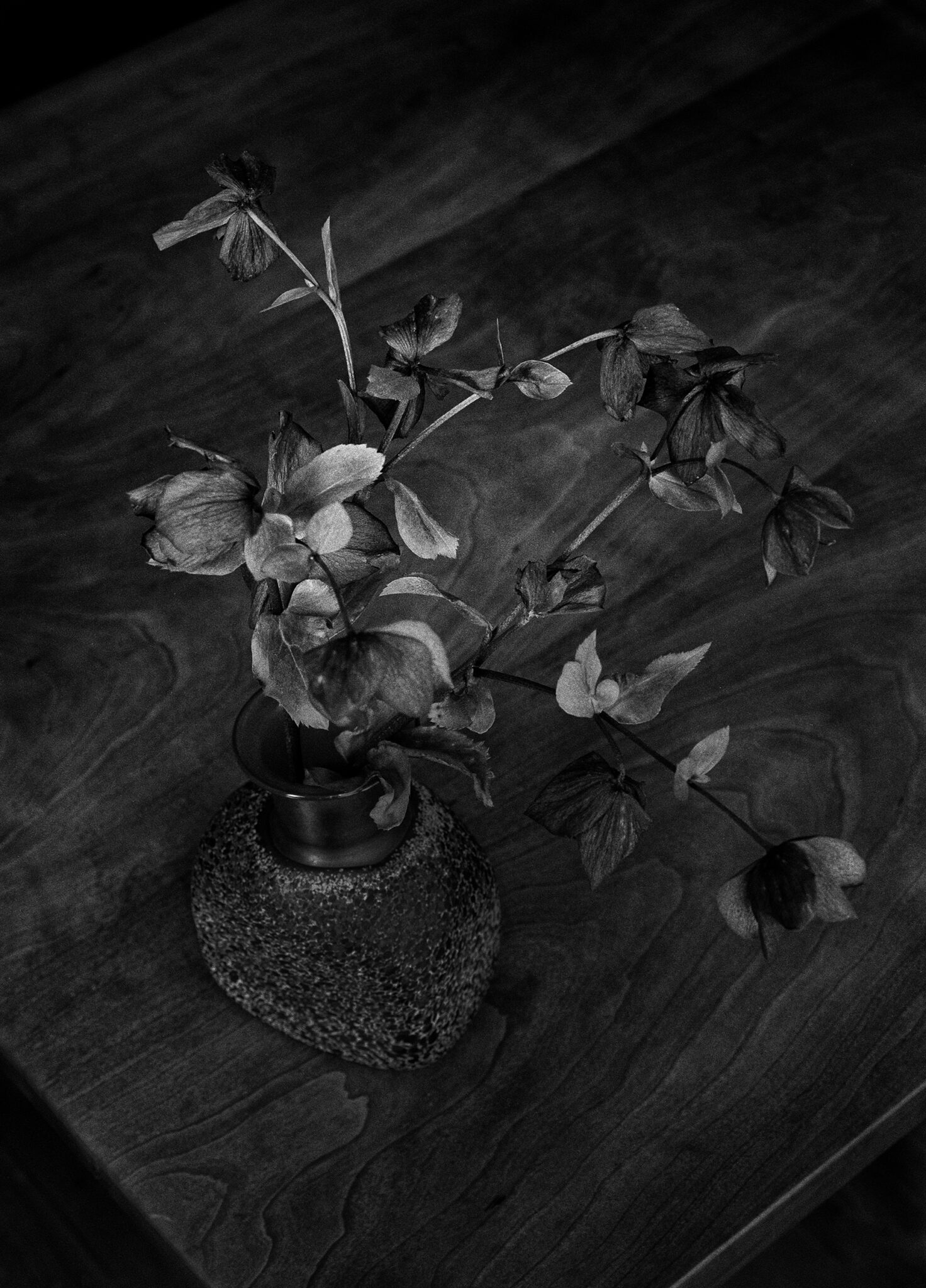 オリジナルフィルム現像液 ｜東京パイロ TOKYO PYRO | 東京オルタナ写真部 Tokyo Alternative Photography